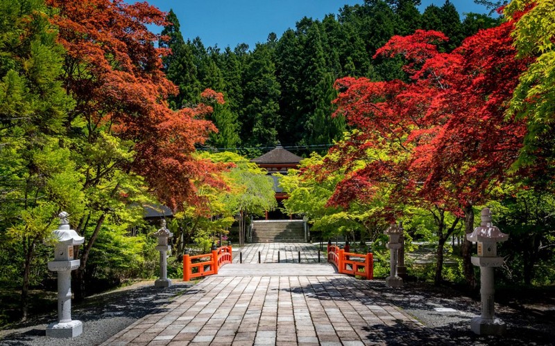 6 retreats in Japan for solitude seekers - Wanderlust Tips Magazine