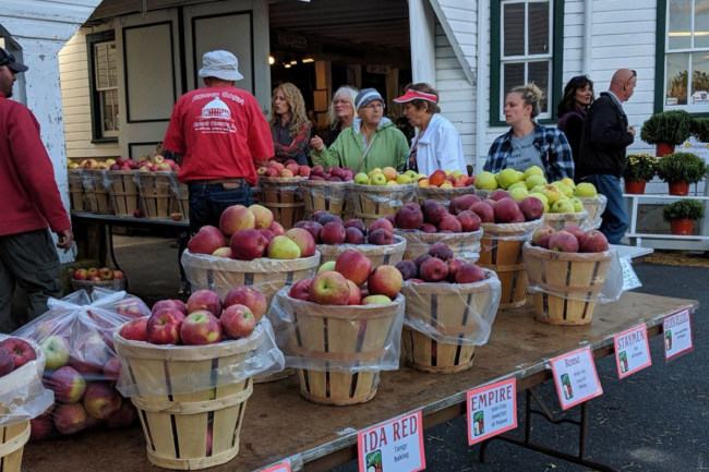 Savor the refreshing flavor of vibrant fruit festivals in the world ...