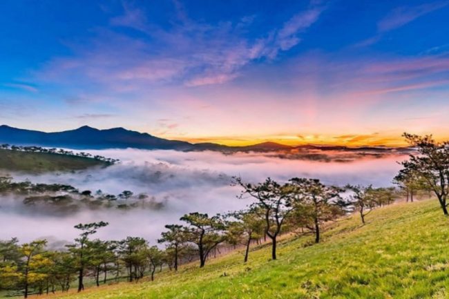 Dalat Cloud-Hunting Spots: A Haven for Nature Enthusiasts • WANDERLUST TIPS
